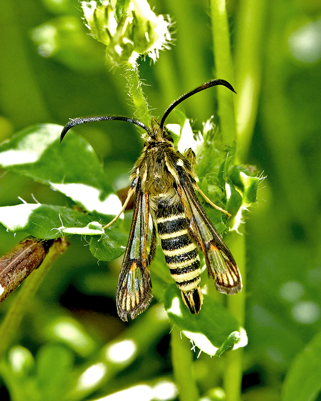 PHOTOGRAPHY | NATURAL SURROUNDINGS